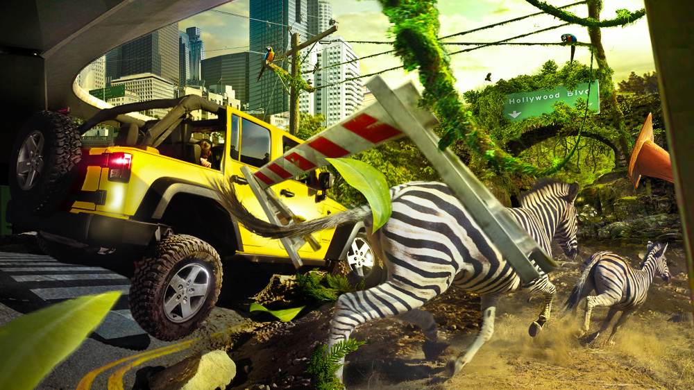 Doug Chang - Motion Designer & Director